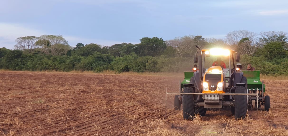Kalonga Estates - Holistic Investments | Invest in African Agriculture
